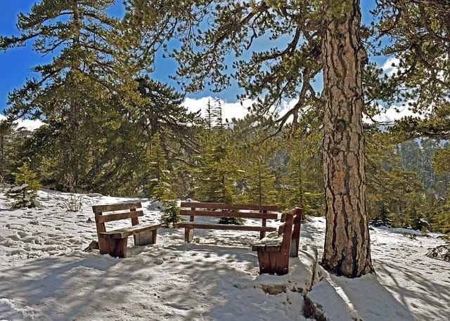 Cyprus Winter Travel: Top Tips & Activities