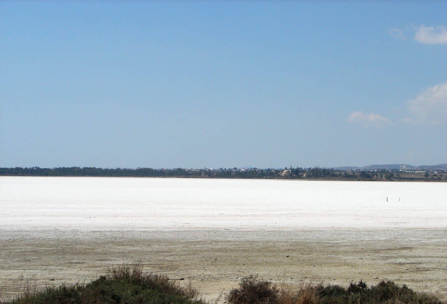 Discover Salt Lake Larnaca: A Unique Wetland Haven