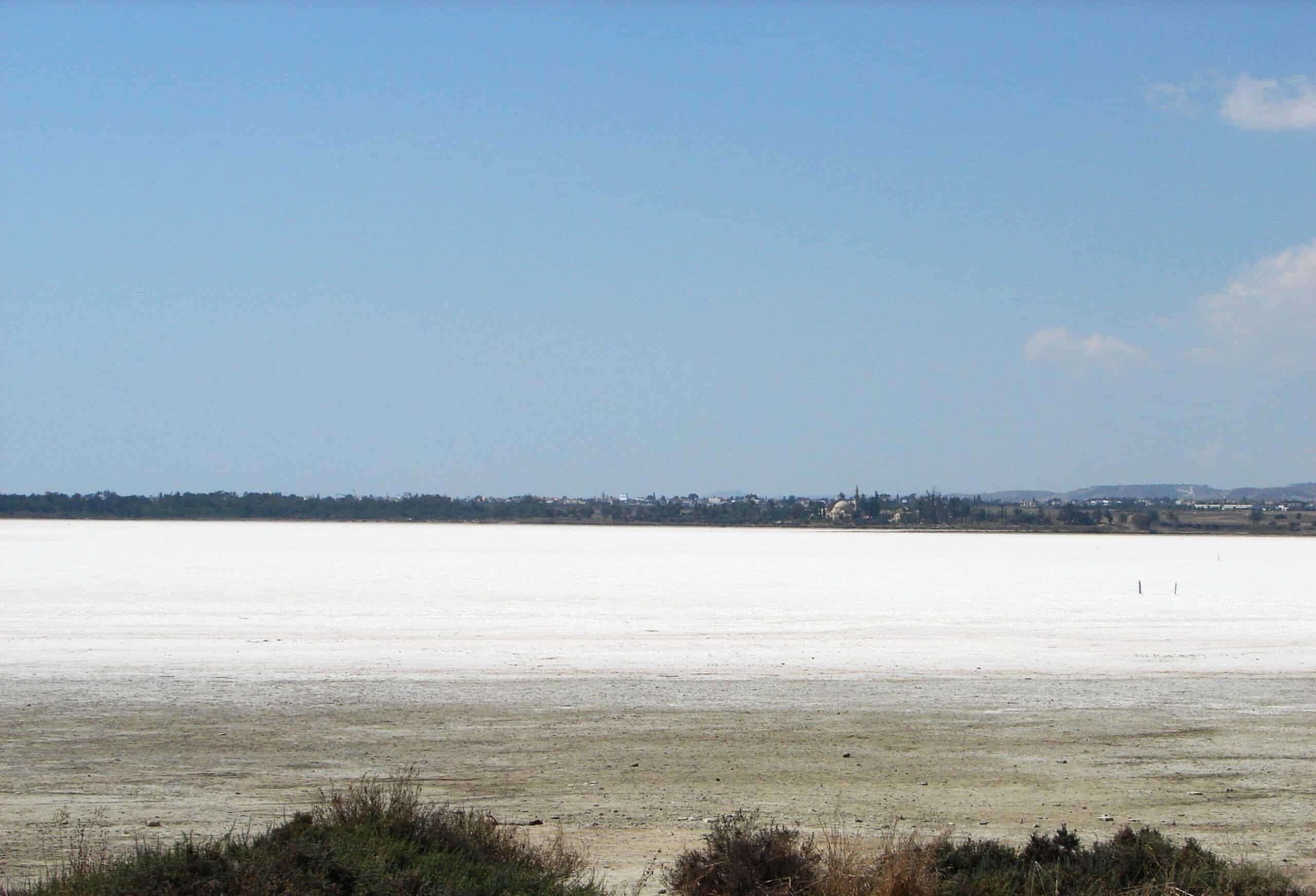 Discover Salt Lake Larnaca: A Unique Wetland Haven