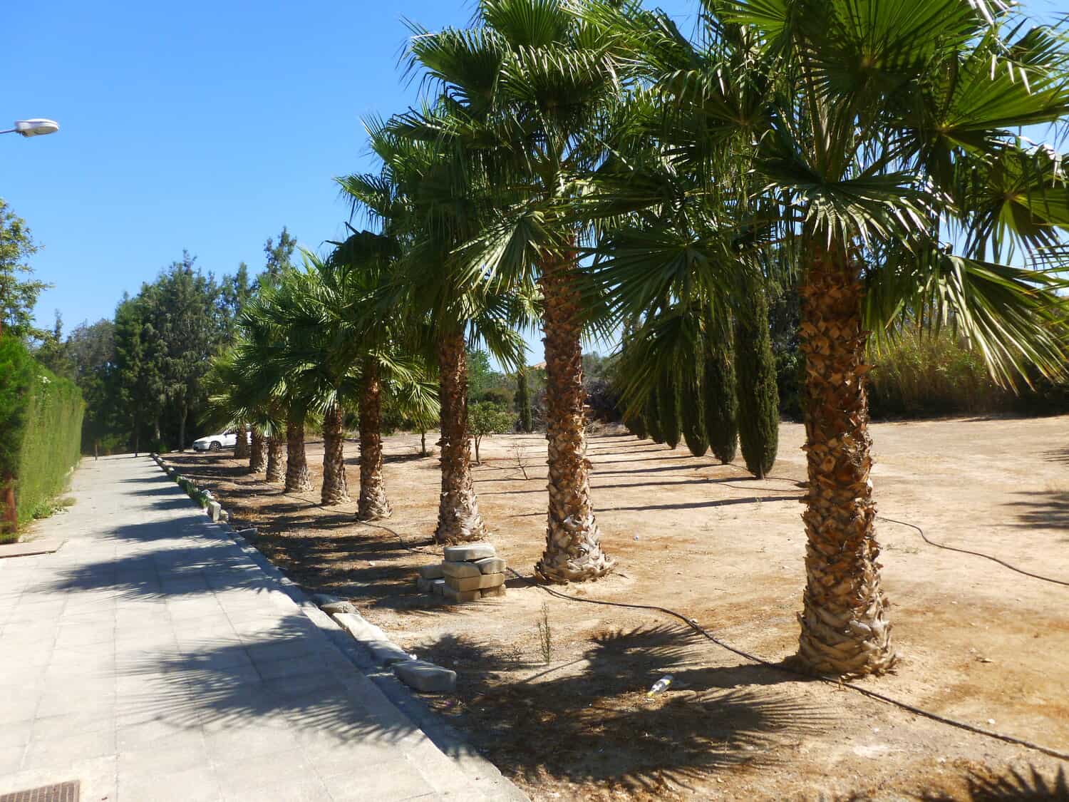 Discover Agios Athanasios: The Hidden Gem of Cyprus