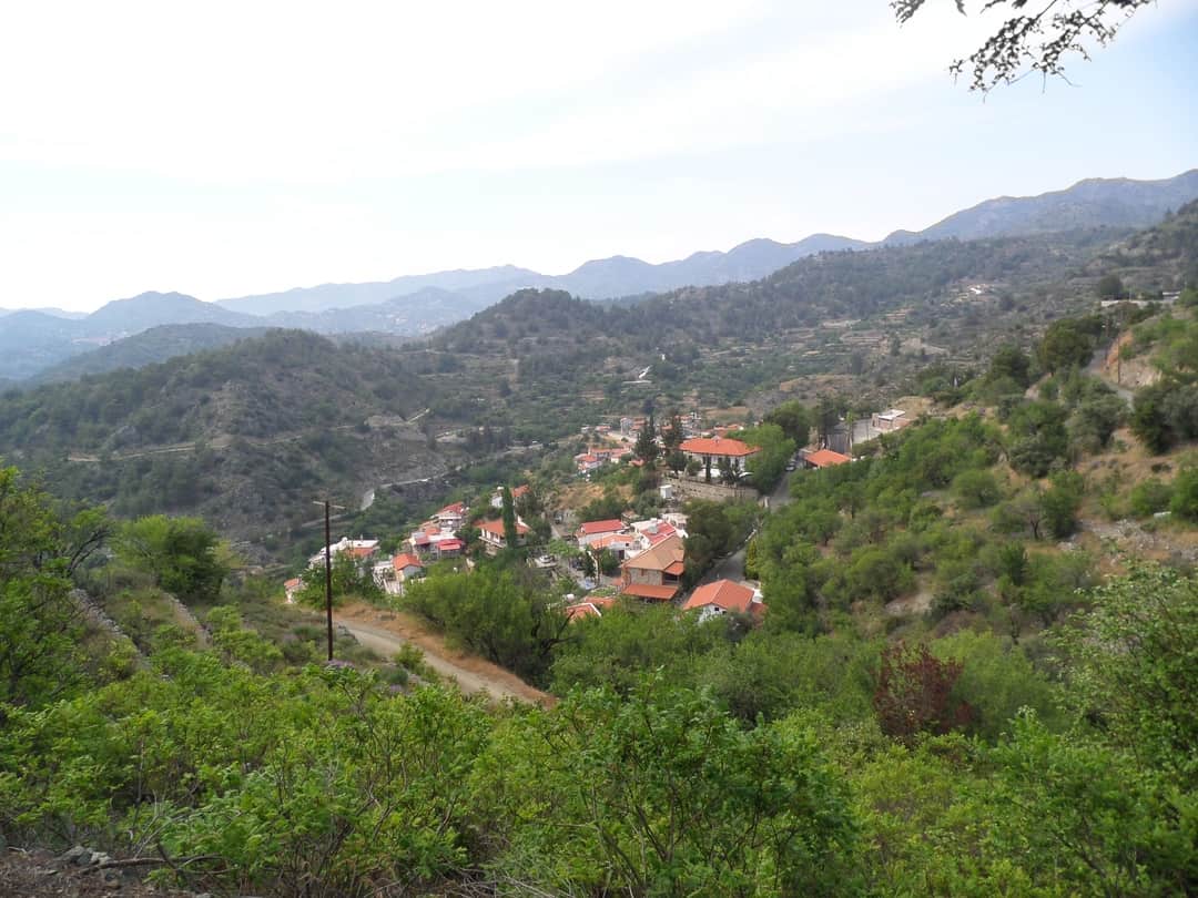 Discover Agios Theodoros: Cyprus Hidden Gem Village